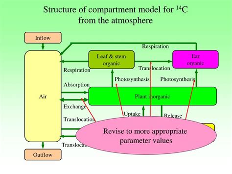 Ppt Development Dynamic Compartment Models To Predict Behavior Of Radionuclides In Rice Paddy