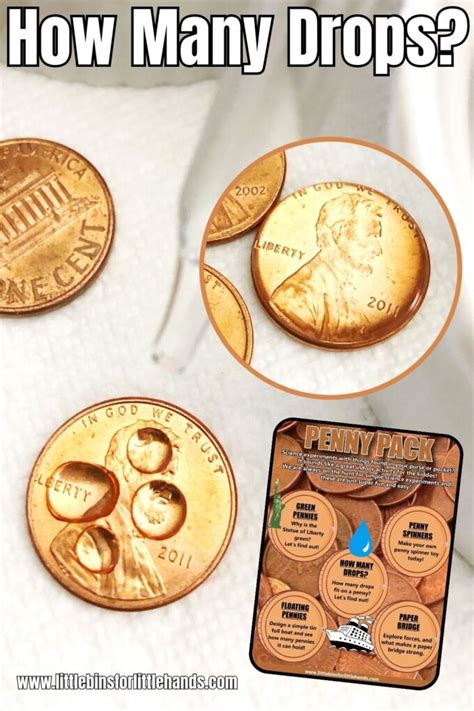 Cohesion Of Water On Penny