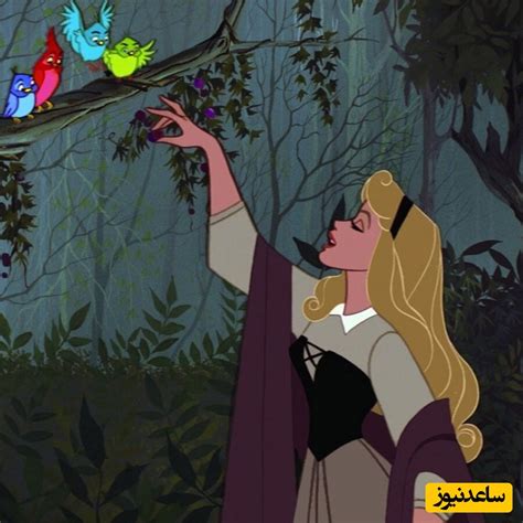 نوستالژی روز؛ کارتون زیبای خفته، لوبیای سحر آمیز، اوشین تانوکورا و