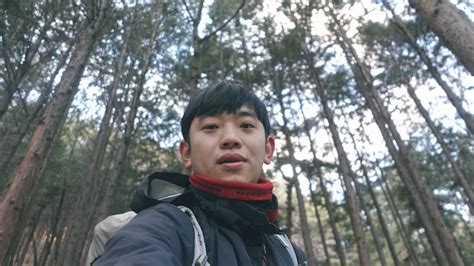 낭만노숙 편백 숲속으로 퇴근박 백패킹 야간산행 Youtube