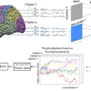 The Proposed Overall Scheme For Spatio Temporal Signal Analysis From Download Scientific