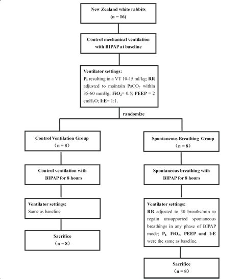 Flow Chart Of Experiment Bipap Biphasic Positive Airway Pressure Fio Download Scientific