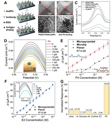 Sub Femtomolar Flexible Electrodes For At Home Sex Hormone Monitoring