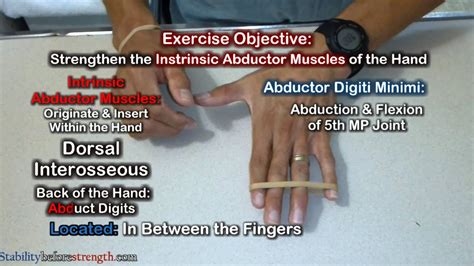 Finger Exercises Dorsal Interosseous And Abductor Digiiti Minimi