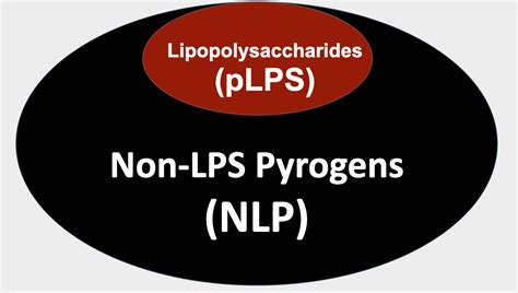 Out Of The Endotoxin Box Rethinking Pyrogens — Pyrodex Monocyte Activation Testing Mat For