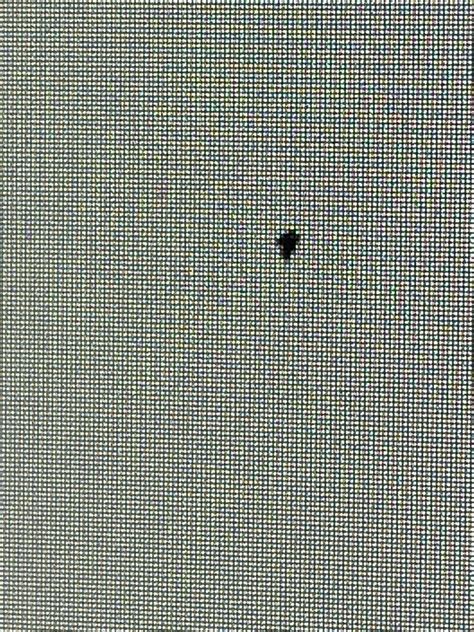 Dead Cluster Of Pixels Towards Center Of Screen Will This Qualify For Replacement — Acer
