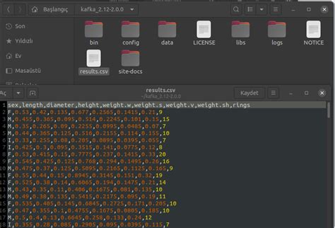 github zerzavot kafka producer csv
