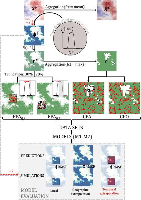 Workflow Of The Study From Data Generation At The Top To Model Download Scientific Diagram