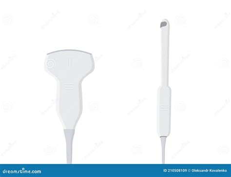 Vector Illustration Of The Convex And Endocavitary Ultrasound Probes Stock Vector Illustration
