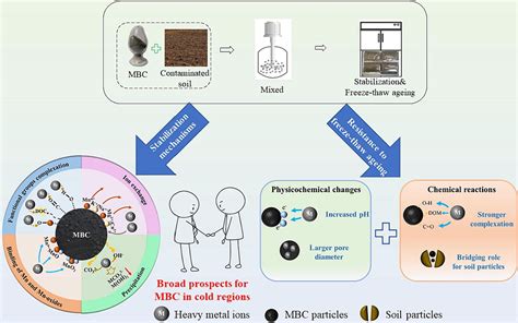 Enhancing Soil Stability And Reducing Metal Toxicity With Kmno4