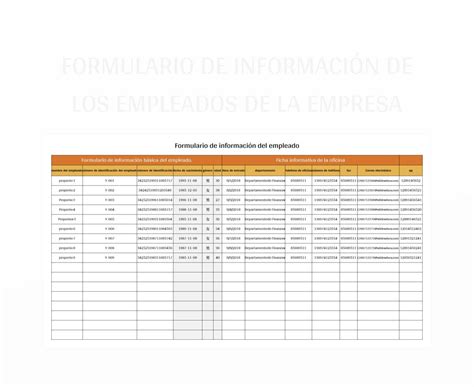 Plantilla De Excel Formulario De Información De Los Empleados De La
