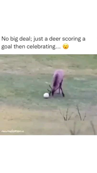 hayat kouider on linkedin naturelovers linkedinfam inspiration leadershipmindset success