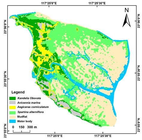 Incorporating The Plant Phenological Trajectory Into Mangrove Species Mapping With Dense Time