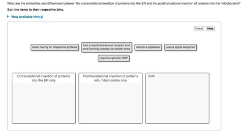 Solved What Are The Similarities And Differences Between The