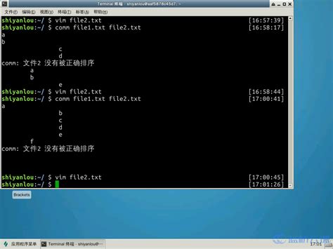 Linux操作9 Comm Diff Patch 蓝桥云课
