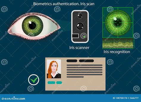 Iris Scan Biometric Authentication Method Diagram Vector