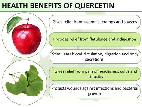 Quercetin And Its Benefits Elev8 Presents