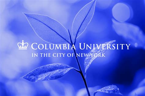 How Columbia University Researchers Are Redefining Environmental