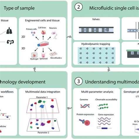 Summary Of Multimodal Single Cell Analysis Technologies Using