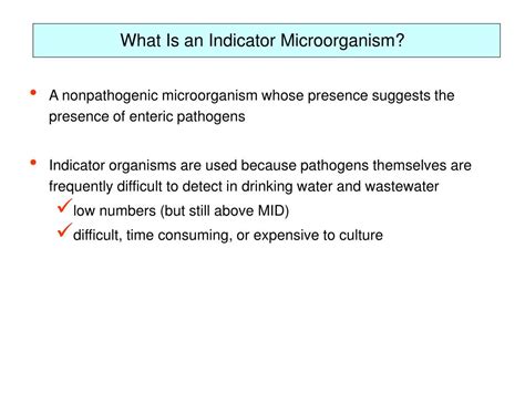 Indicator Microorganisms Examples At Teresa Hutton Blog