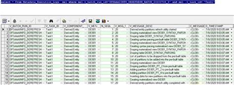 capture the derived entity execution logs in the database