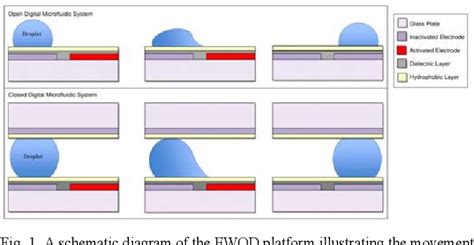 Figure 1 From Development Of An Electrowetting Digital Microfluidics Platform Using Low Cost