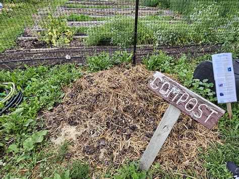 Composting Basics Composting Basics