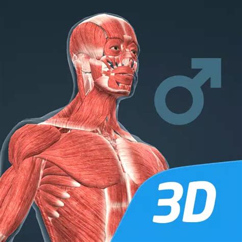 Free Download Human Body Male 3d Scene Apk 134 Newest Version Of