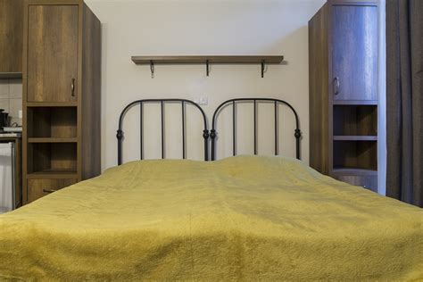 🌳 დამტვერვა დაიწყო 🌲 აპარტამენტები ბაკურიანში