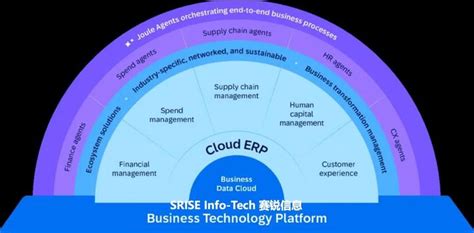 解读sap新产品“ai套件”战略的底层逻辑 知乎