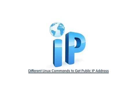 4 Linux Commands To Get Public IP Address OrcaCore