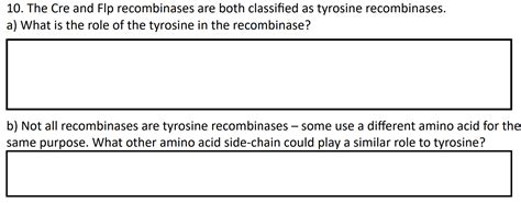 Solved 10 The Cre And Flp Recombinases Are Both Classified
