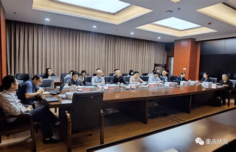 重庆市乡村振兴局组织召开《重庆市脱贫攻坚省级样本》项目中期评估会指导