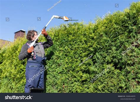 Tree Pole Images Stock Photos Vectors Shutterstock