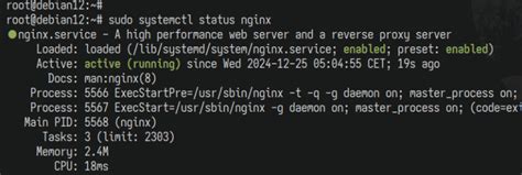 cómo instalar jupyter notebook con nginx proxy en debian 12 howtoforge