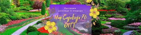 МИР САДОВОДА 76 ОПТ СОВМЕСТНЫЕ ЗАКУПКИ «МИР САДОВОДА 76 ОПТ 2025 ВКонтакте