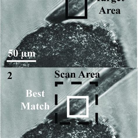the pattern matching algorithm written in matlab marked a target area