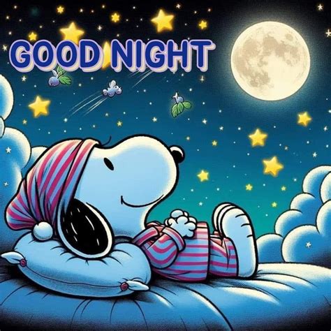 Pin By Millie Snyder On Night Time Sayings In 2024 Goodnight Snoopy
