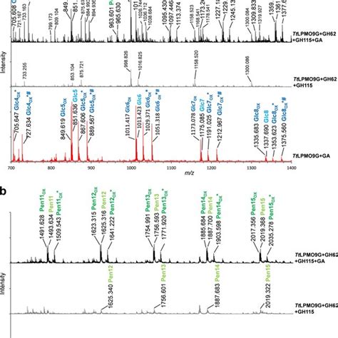 Maldi Tof Ms Analysis Of Products Released By Ttlpmo9g In Reactions Download Scientific Diagram