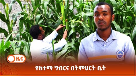 የከተማ ግብርና በትምህርት ቤት Youtube