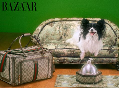 Nh Ng M N Ph Ki N Cho Th C Ng T C C Th Ng Hi U Cao C P