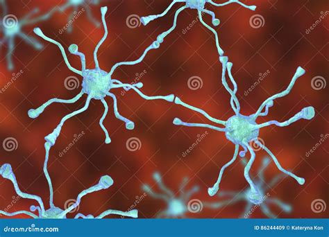 Neuronal Synapses Brain Cells Stock Illustration Illustration Of