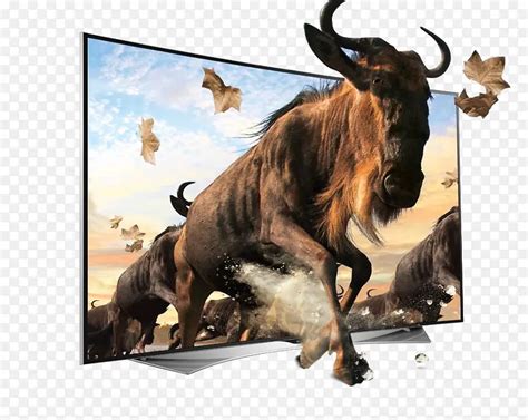 3d效果png图片素材下载图片编号qbpdakdq 免抠素材网