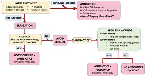 Bite Club Comprehensive Guide To Bite Management Part 1 Emottawa Blog