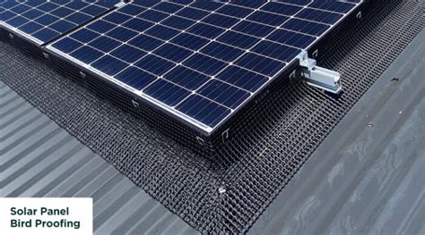 Bird Proofing Solar Panels And Pigeon Protection In Brisbane