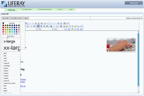 Firefox Display Problem Liferay Portal CKEditor Forums