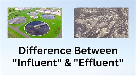 Raw Sewage Vs Effluent At Landon Artis Blog