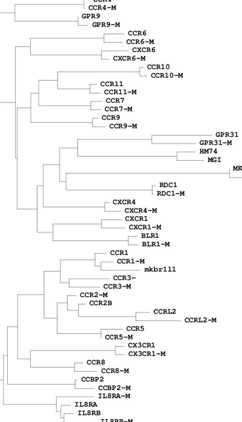 the same as fig 8 but considering only the external loop regions
