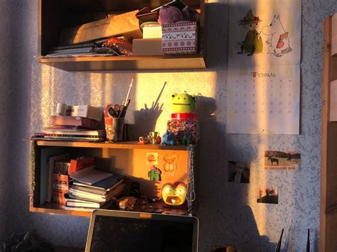 солнце на закате Комната в общежитии Интерьер Студенческая квартира