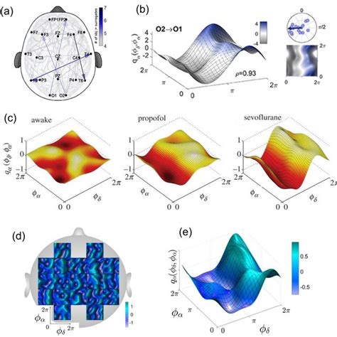 Examples Of δ α Neural Coupling Functions A The Coupling Strength